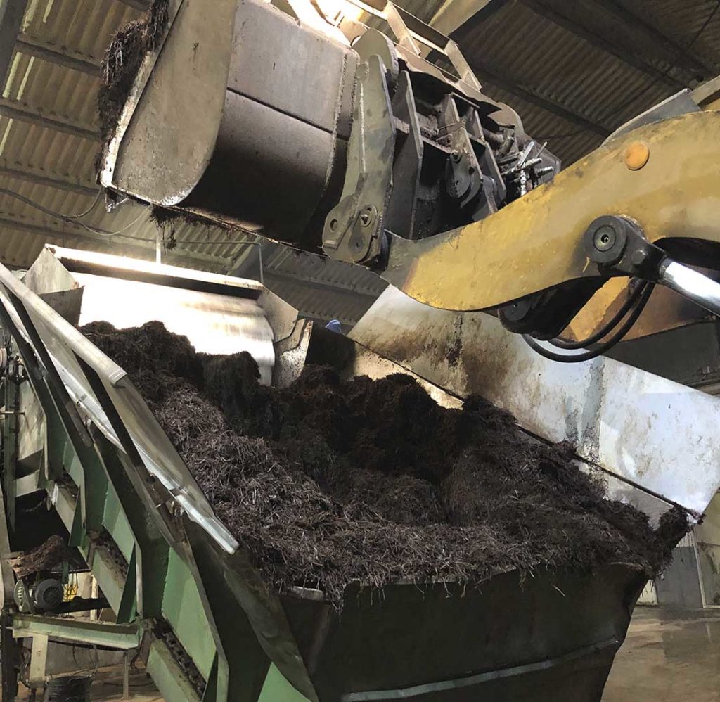 Quienes somos - Diselect, tu mejor elección de compost y cultivo de hongos